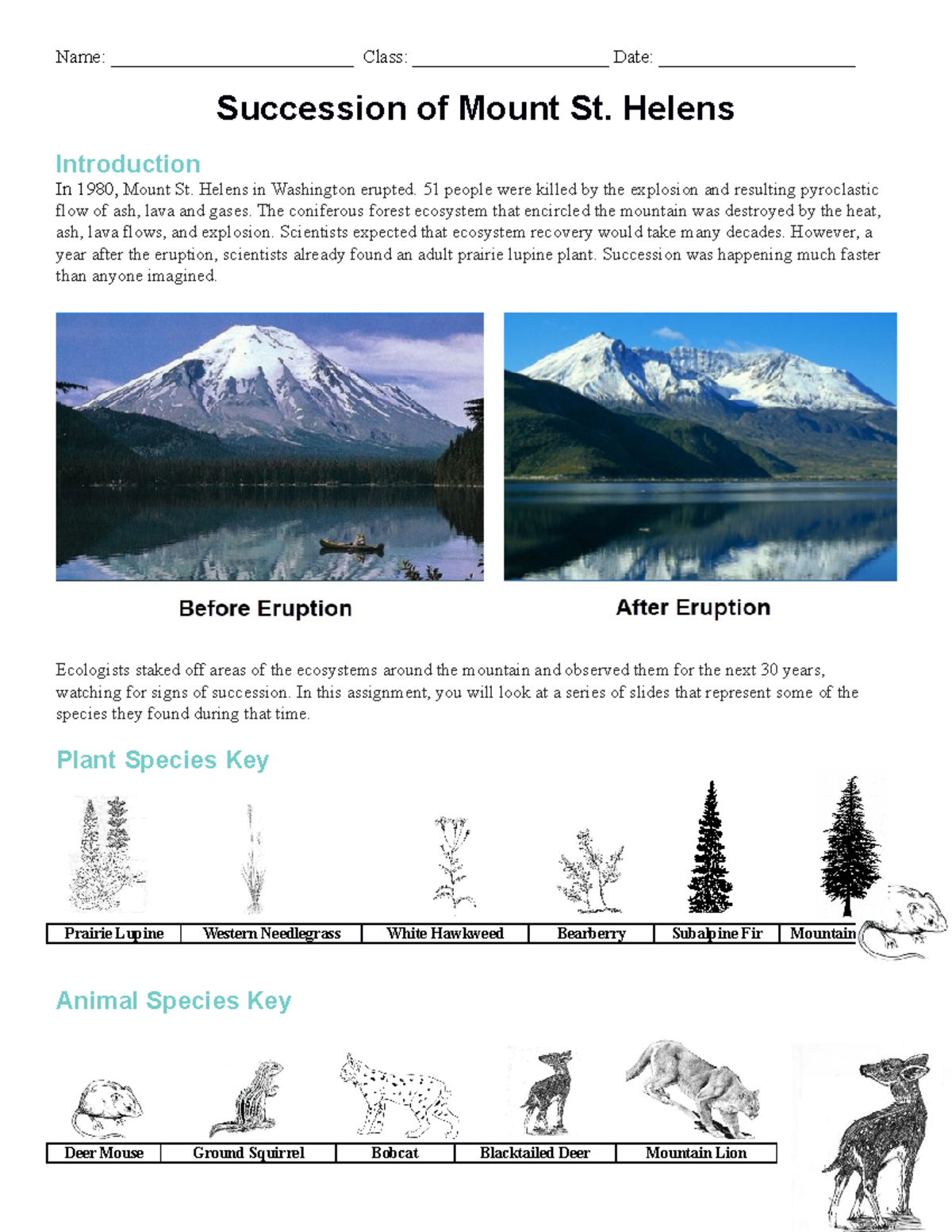 Volcano Succession - This is coursework for Introduction To ...