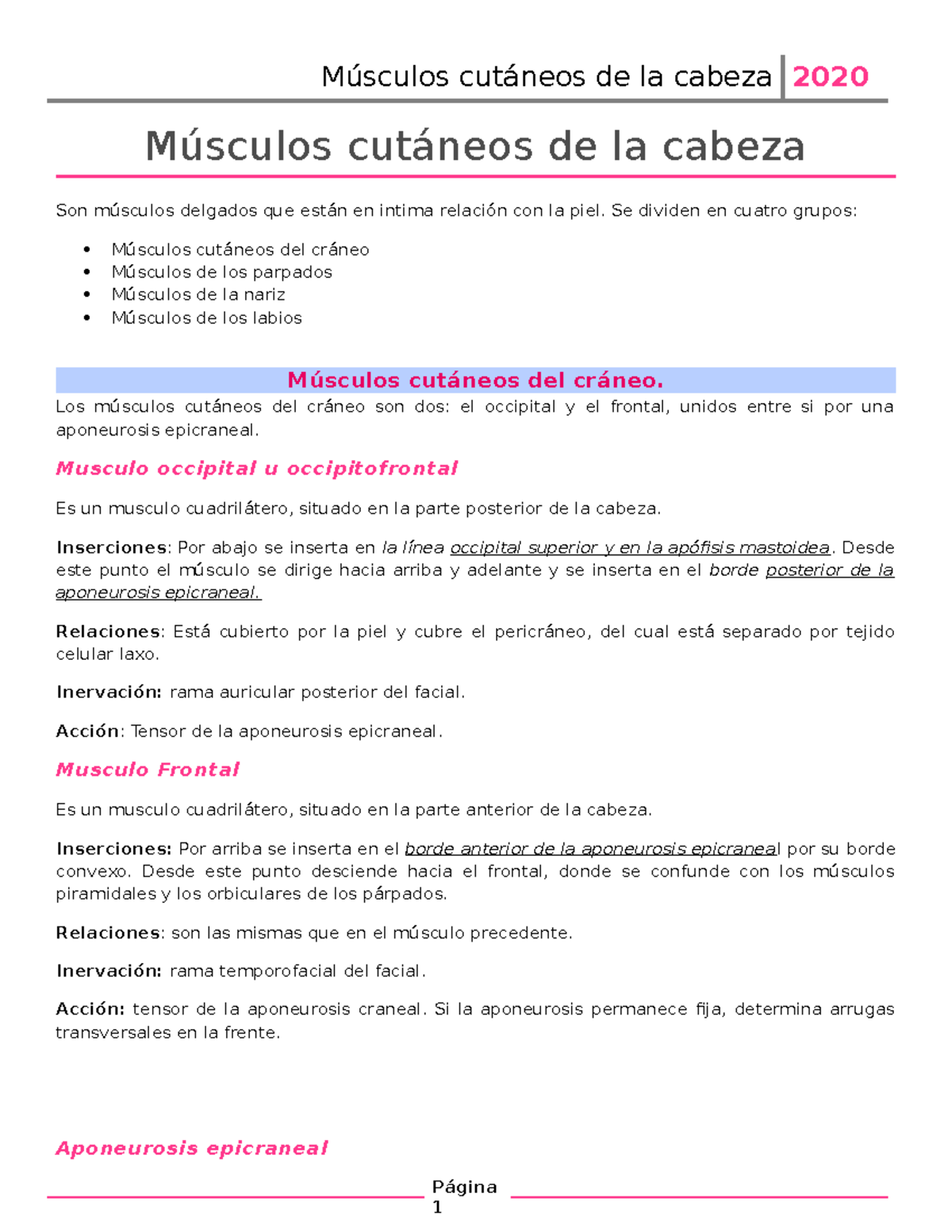 Músculos cutáneos de la cabeza terminado - Músculos cutáneos de la ...