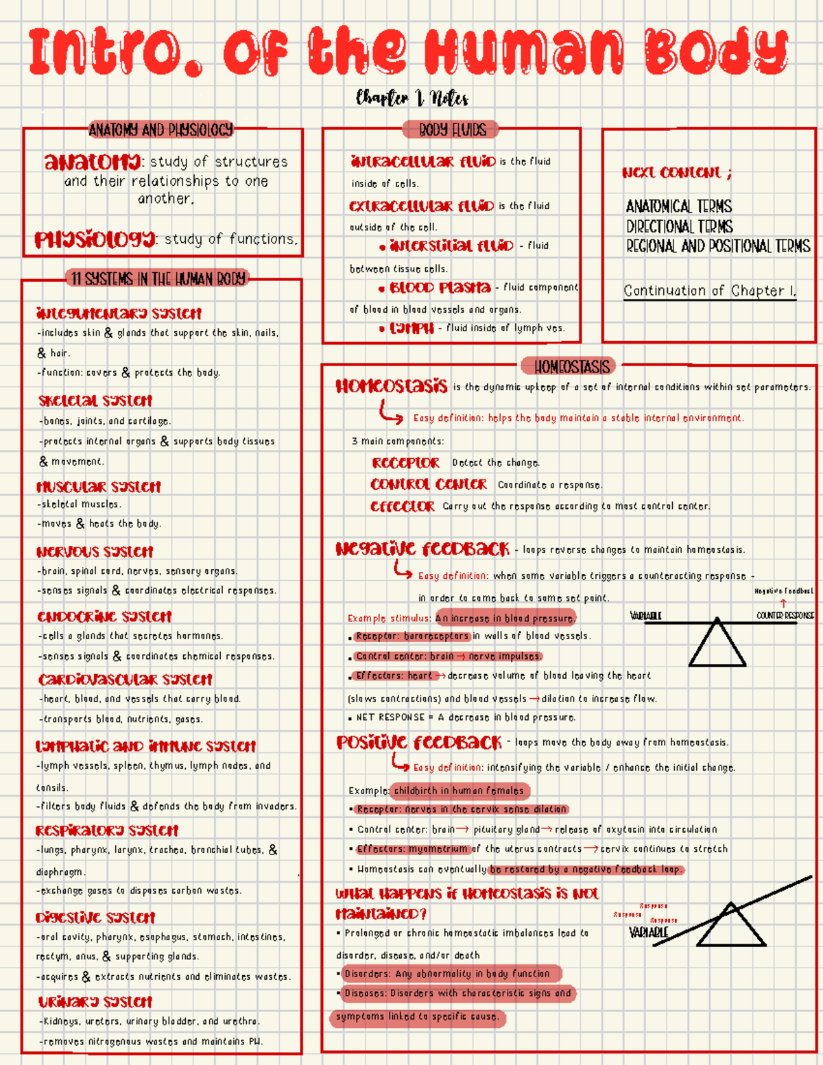 BIOL 1190 - Intro. Human Body - Intro. of the Human Body Chapter I ...