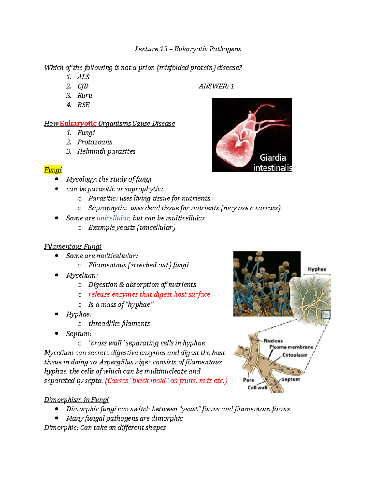 Lecture 13 - micro - Lecture 13 – Eukaryotic Pathogens Which of the ...