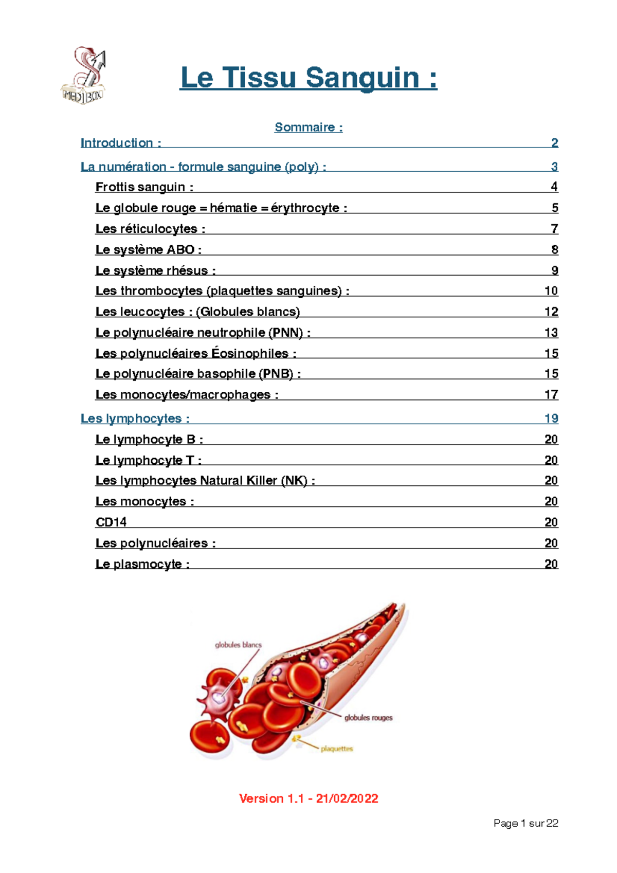 -Tissu sanguin - Le Tissu Sanguin : Introduction : Sommaire : La ...