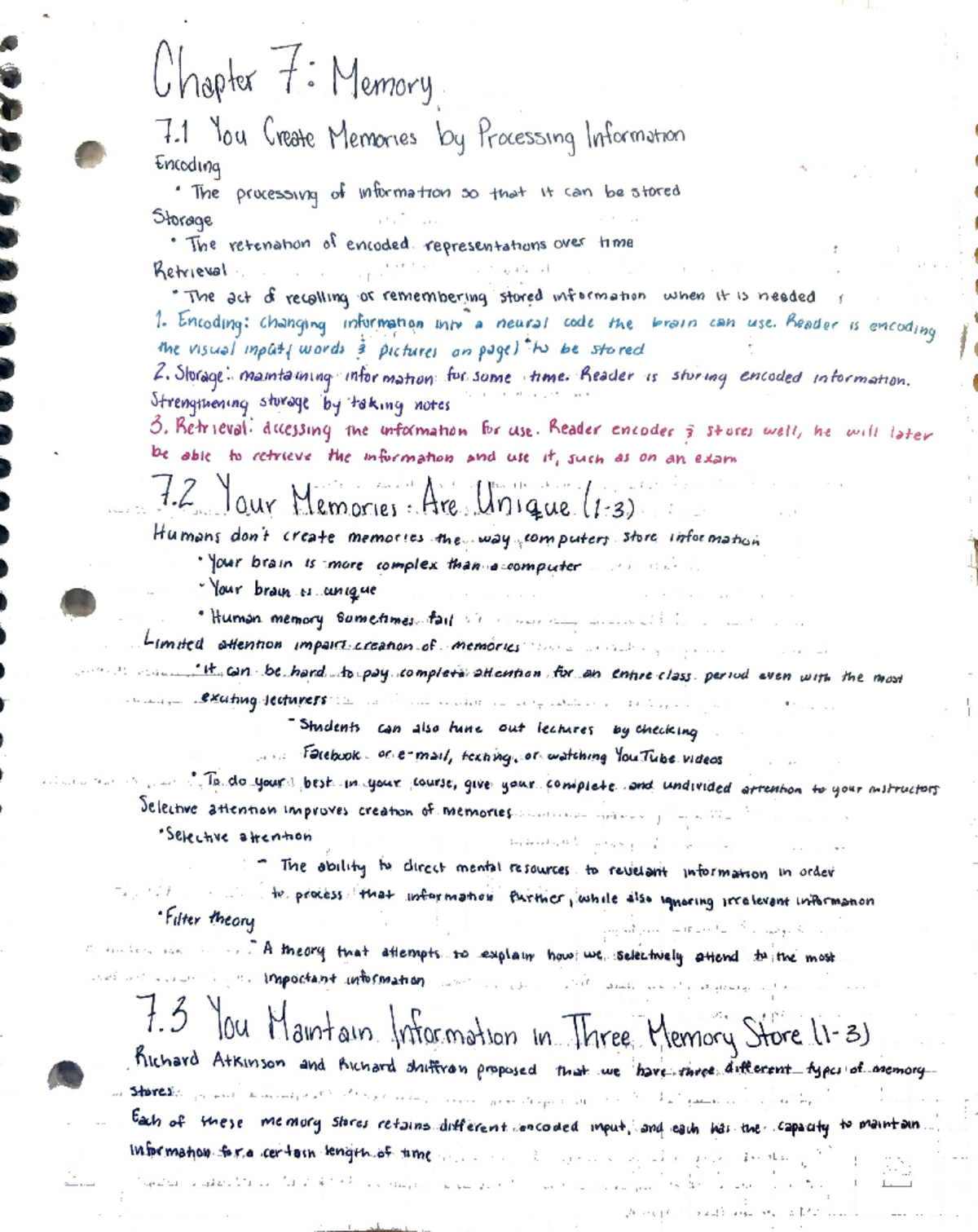 2024-03-30 15-21 - Notes on psychological memory - Studocu