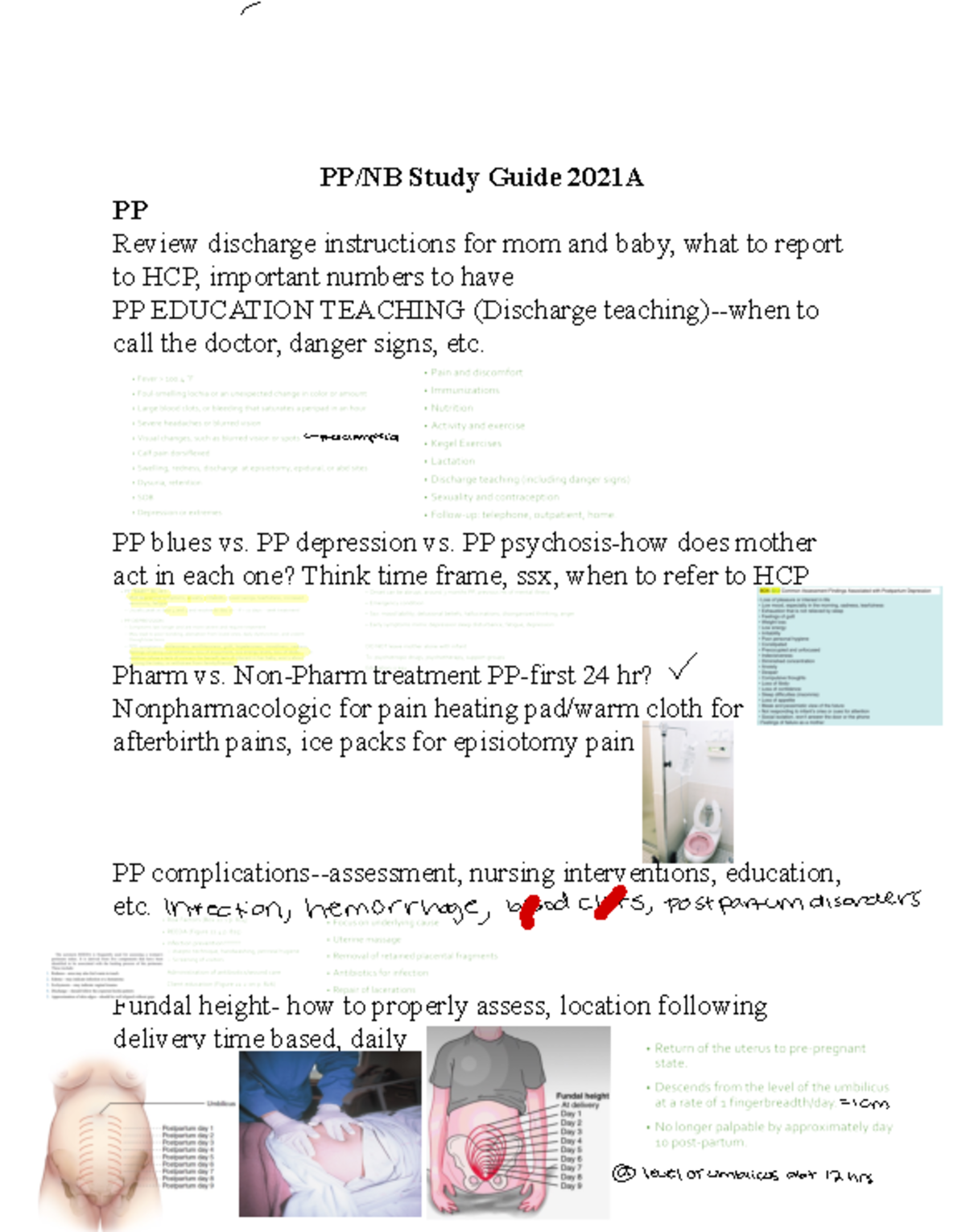 PP NB Study Guide 2021B (Courtney Reger) - PP/NB Study Guide 2021A PP ...