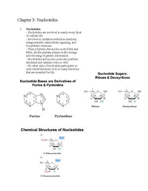 Biochemistry Chapter 1 test bank - Chapter 1: Introduction to the ...