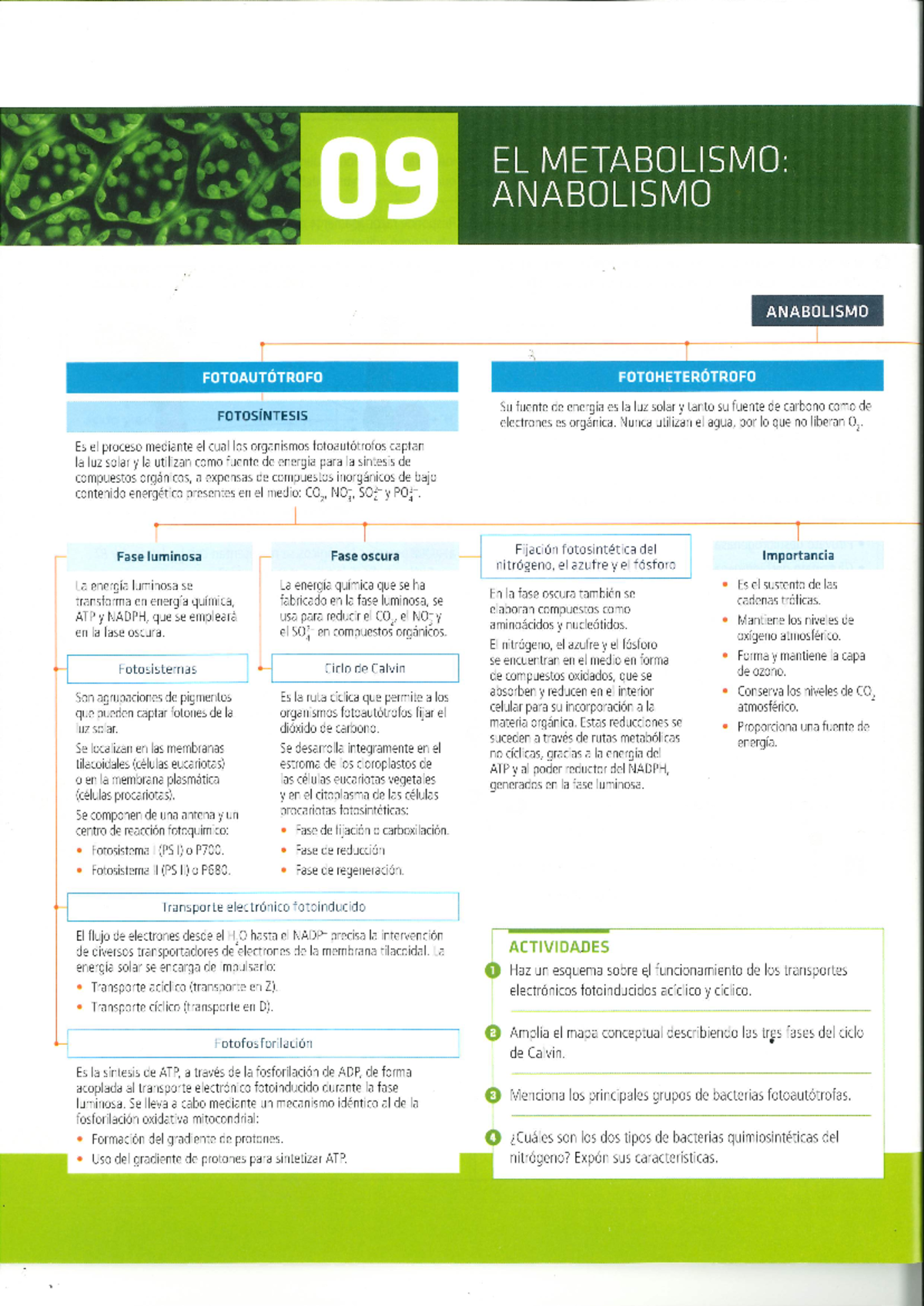 T9- Esquema y ejerccicios de repaso - Anabolismo - Biología II - Ciencias y Tecnología - Studocu