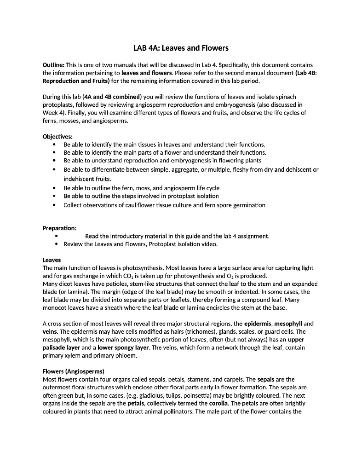 Bio 2D03 Lab 4A - Leaves and Flowers - Biology 2D03 Plant Biodiversity ...