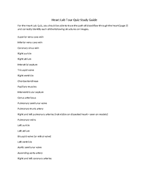 Anatomy Physiology Cheat Sheet Exam 2 - Epithelial, connective, nervous ...