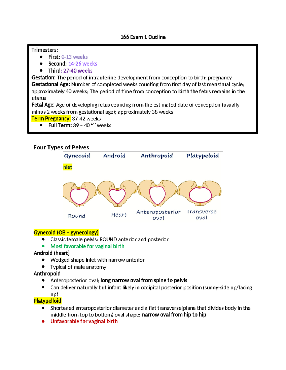 166 Exam 1 Outline - 166 Exam 1 Outline Four Types of Pelves Gynecoid ...