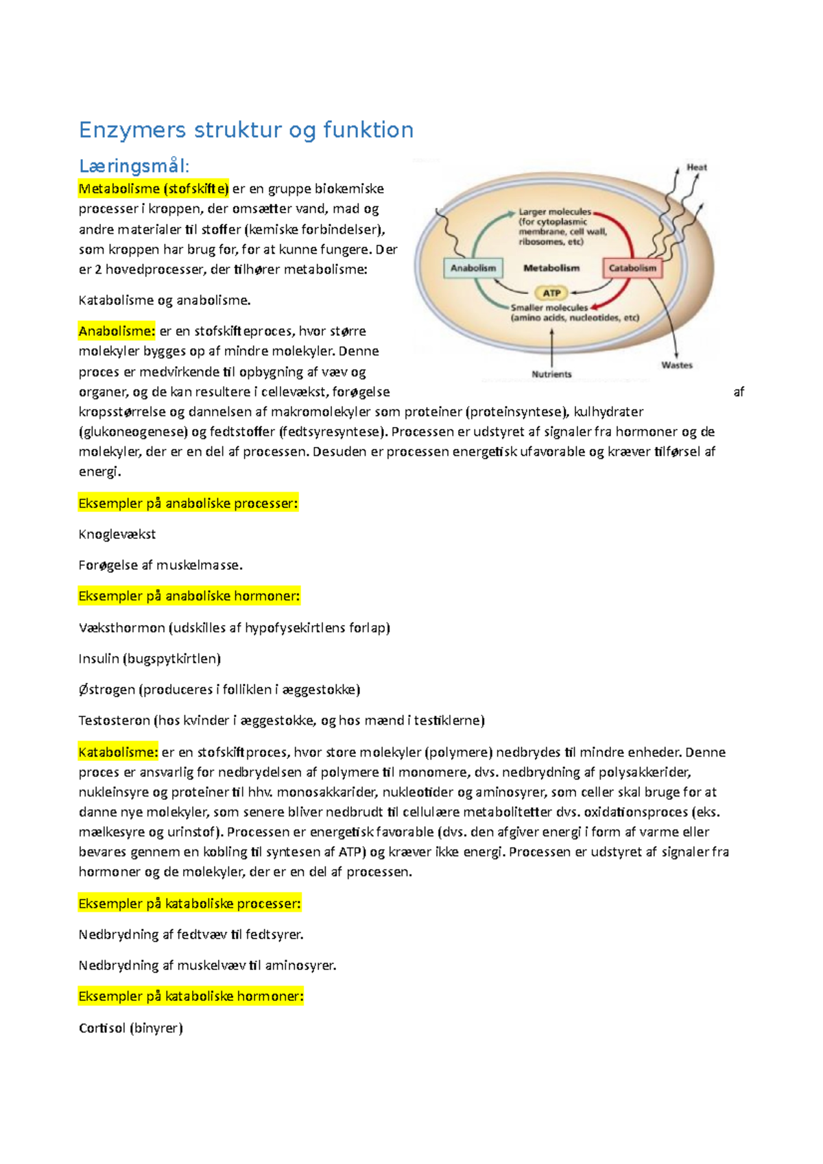 LM enzymers struktur og funktion - Enzymers struktur og funktion Læringsmål: Metabolisme - Studocu