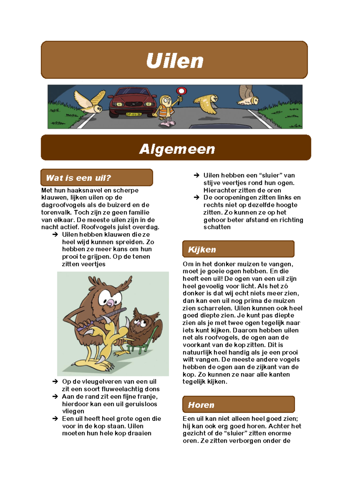 7d09c31c 1238 4ffa b3e6 3512a3fc8aab - Algemeen Wat is een uil? Met hun ...