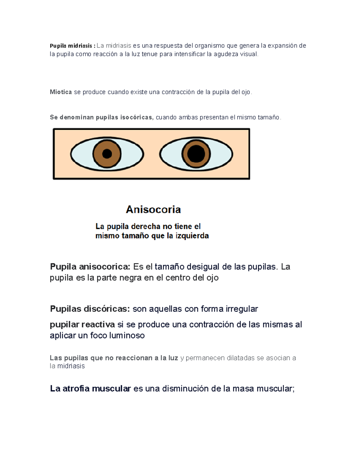Fundamentos terminos - naaaaaaaaaaaa - Pupila midriasis : La midriasis ...