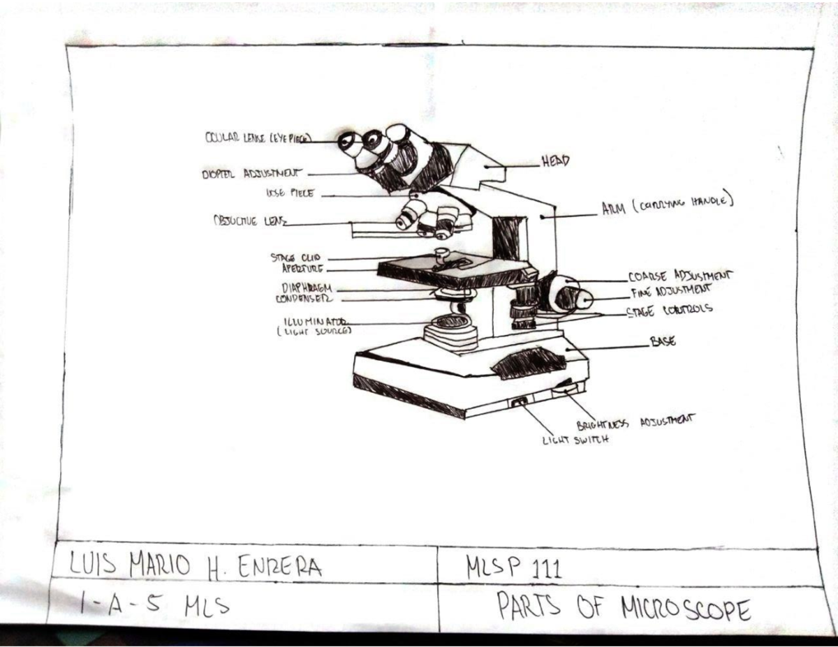 Parts of Microscope - Parts and their functions of Microscope Ocular ...