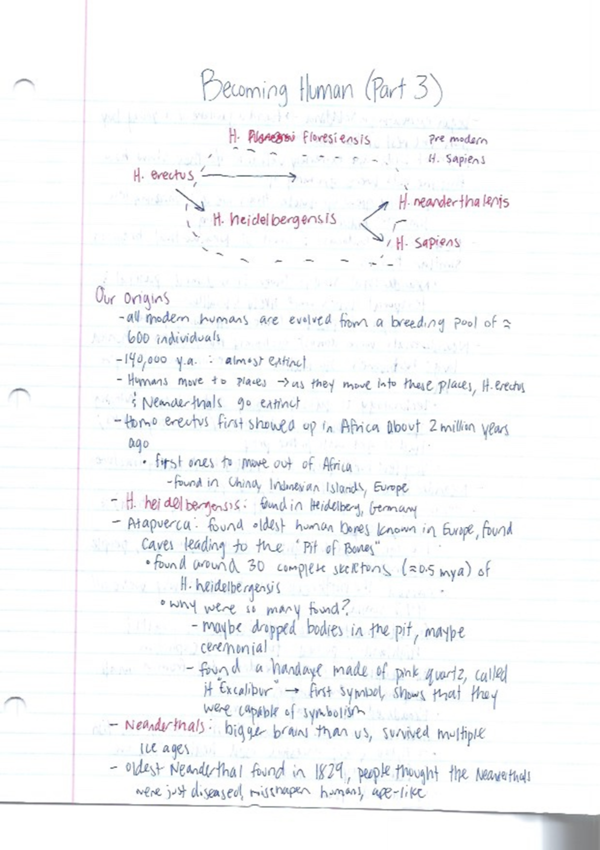 Becoming Human Part 3 - Lecture notes 9 - ﬁecomu'ng Human (PM 3} H‘ W ...