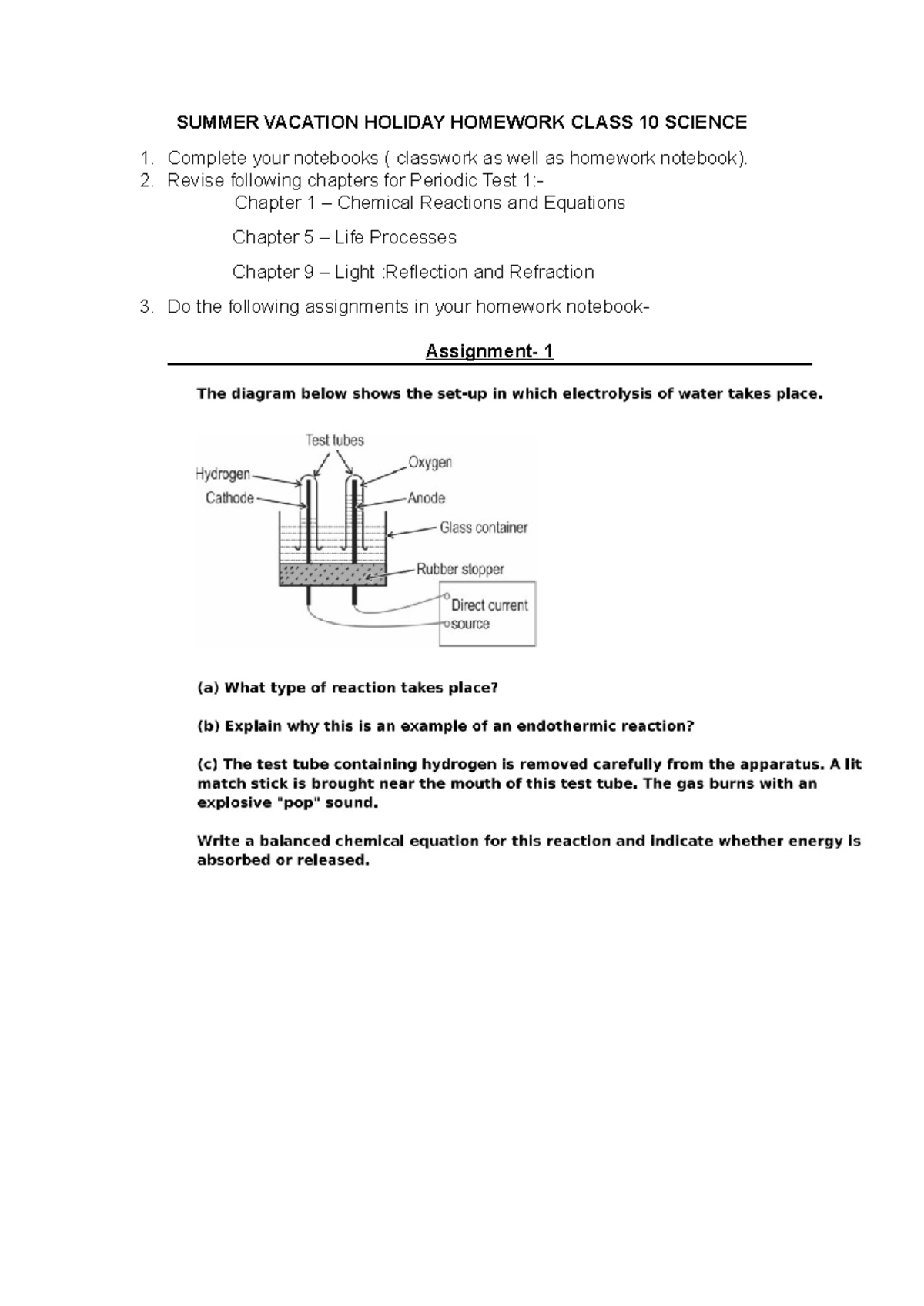 Class 10 Science Summer Vacation Holiday Homework - SUMMER VACATION ...