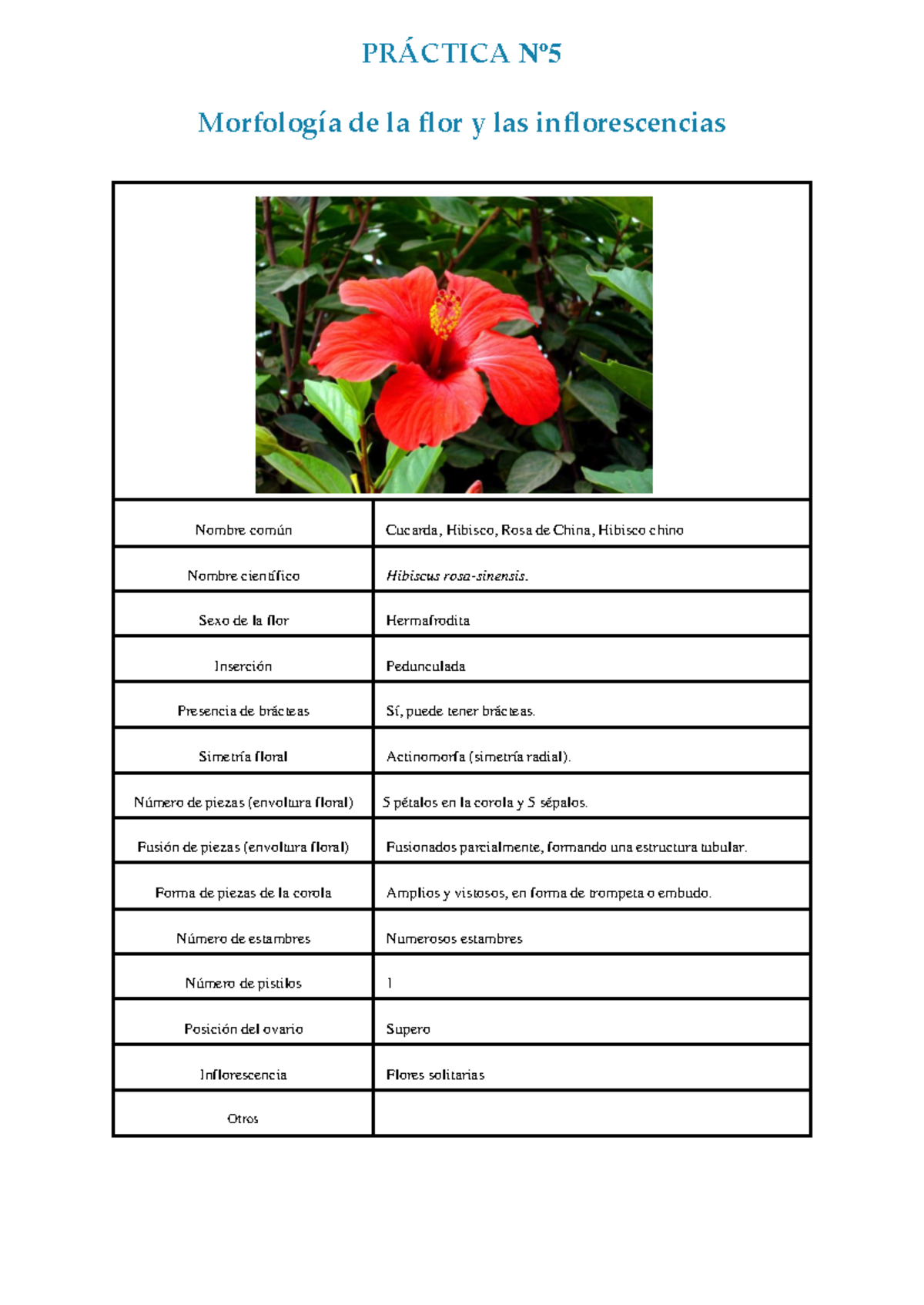 Informe 5 - Morfología de la flor y las inflorescencias - PRÁCTICA Nº Morfología de la flor y ...