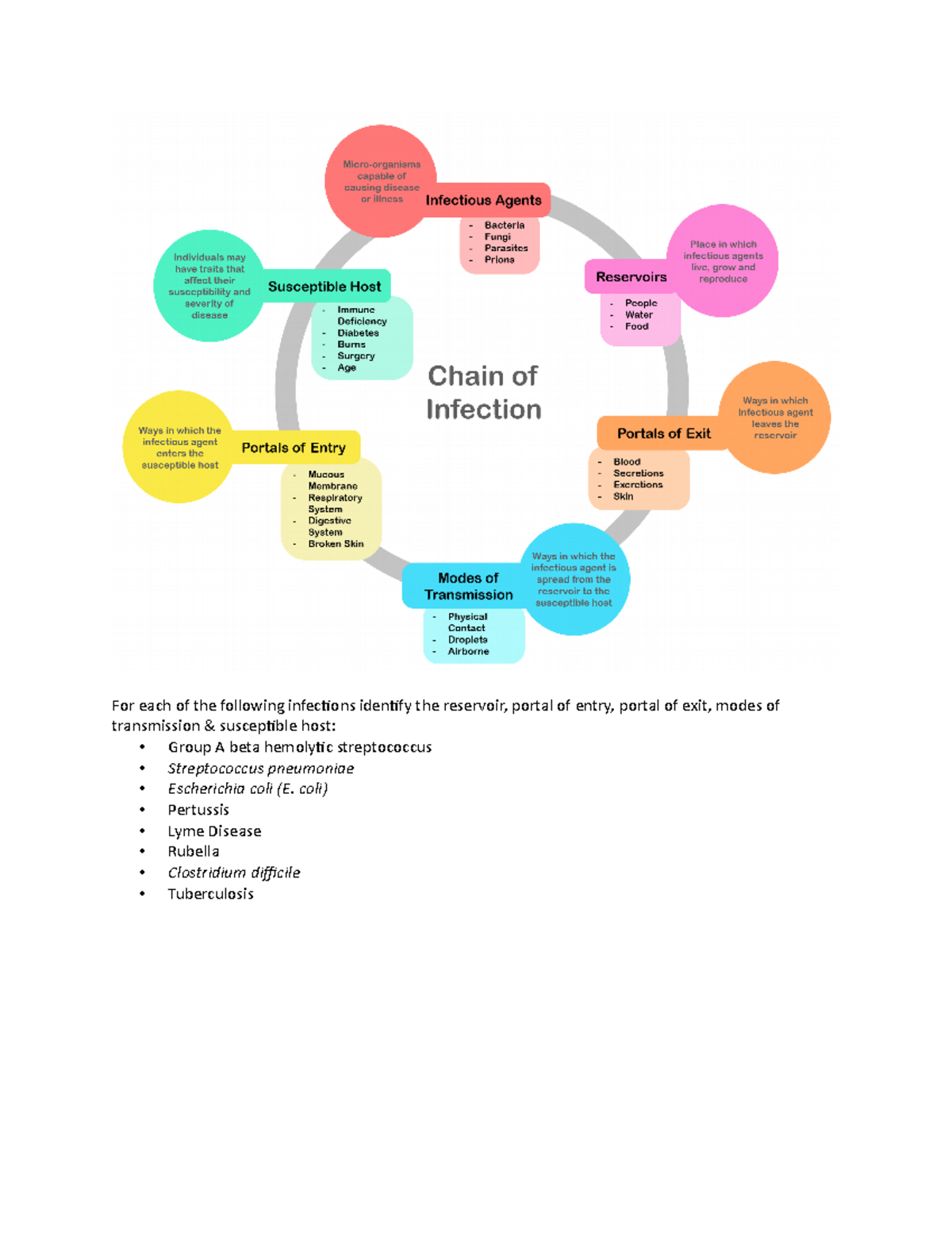 Infection assignment - note for practice in nursing career - DENH212 ...