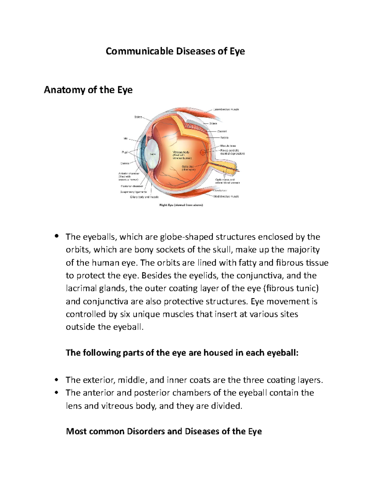 Communicable Diseases of Eyes Reviewer and Notes for Nurses - BS ...