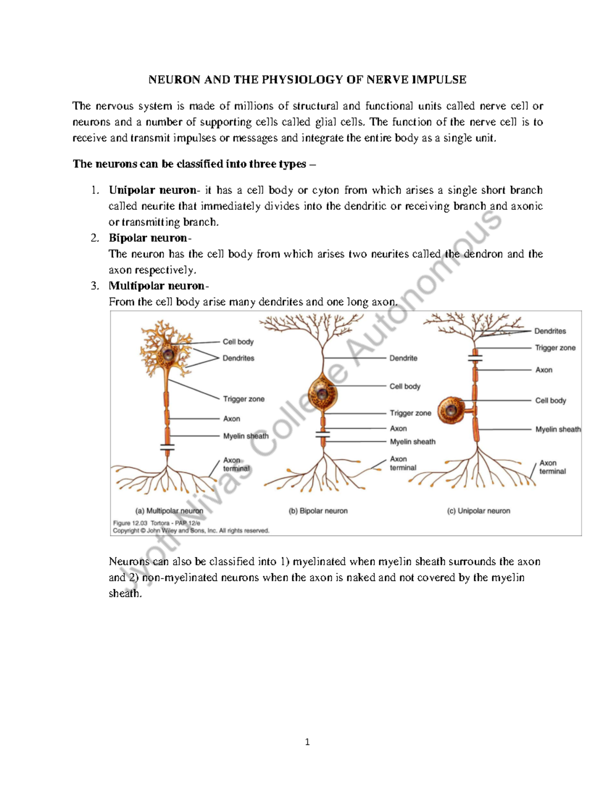 Physiology OF Nerve Impulse - NEURON AND THE PHYSIOLOGY OF NERVE ...