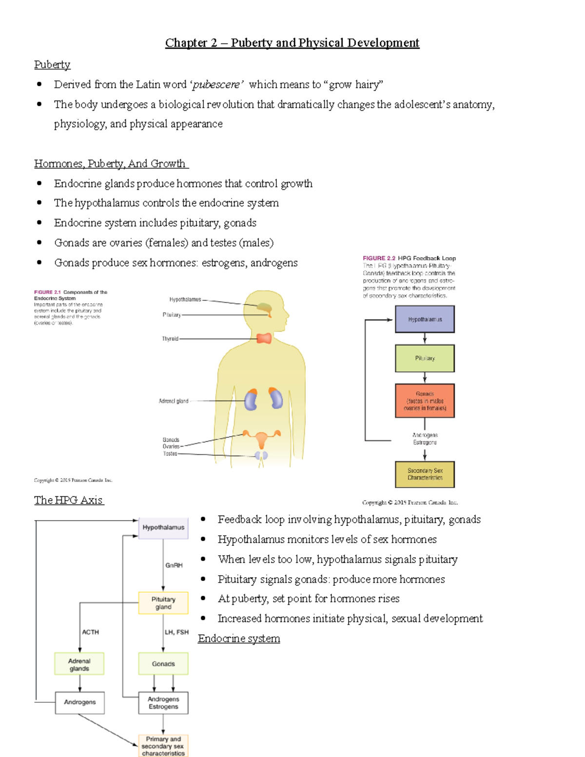 Chapter 2 - David Collins - Chapter 2 – Puberty and Physical ...