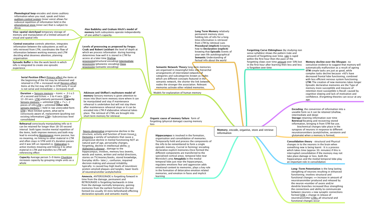 Memory Module Workshop Mindmap PSY102 - Memory, encode, organise, store ...