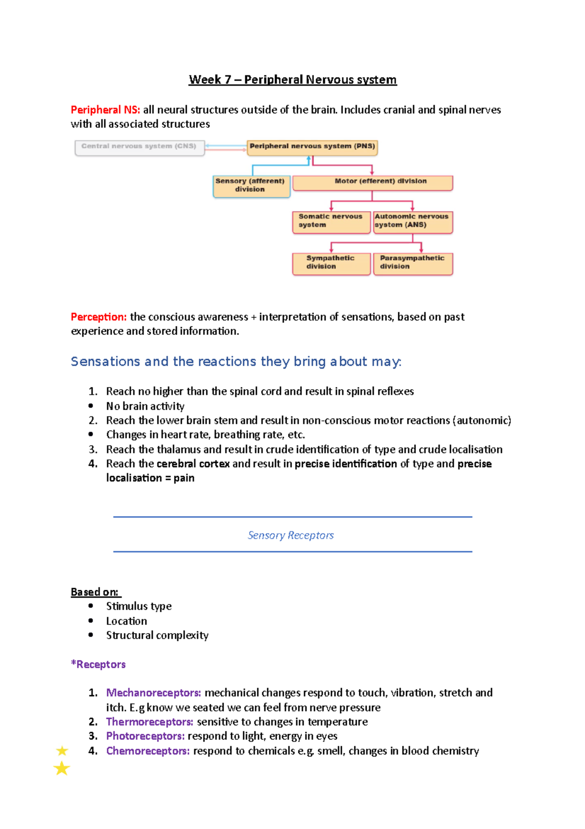 Week 7- anatomy - lecture notes related to nervous system - Week 7 ...