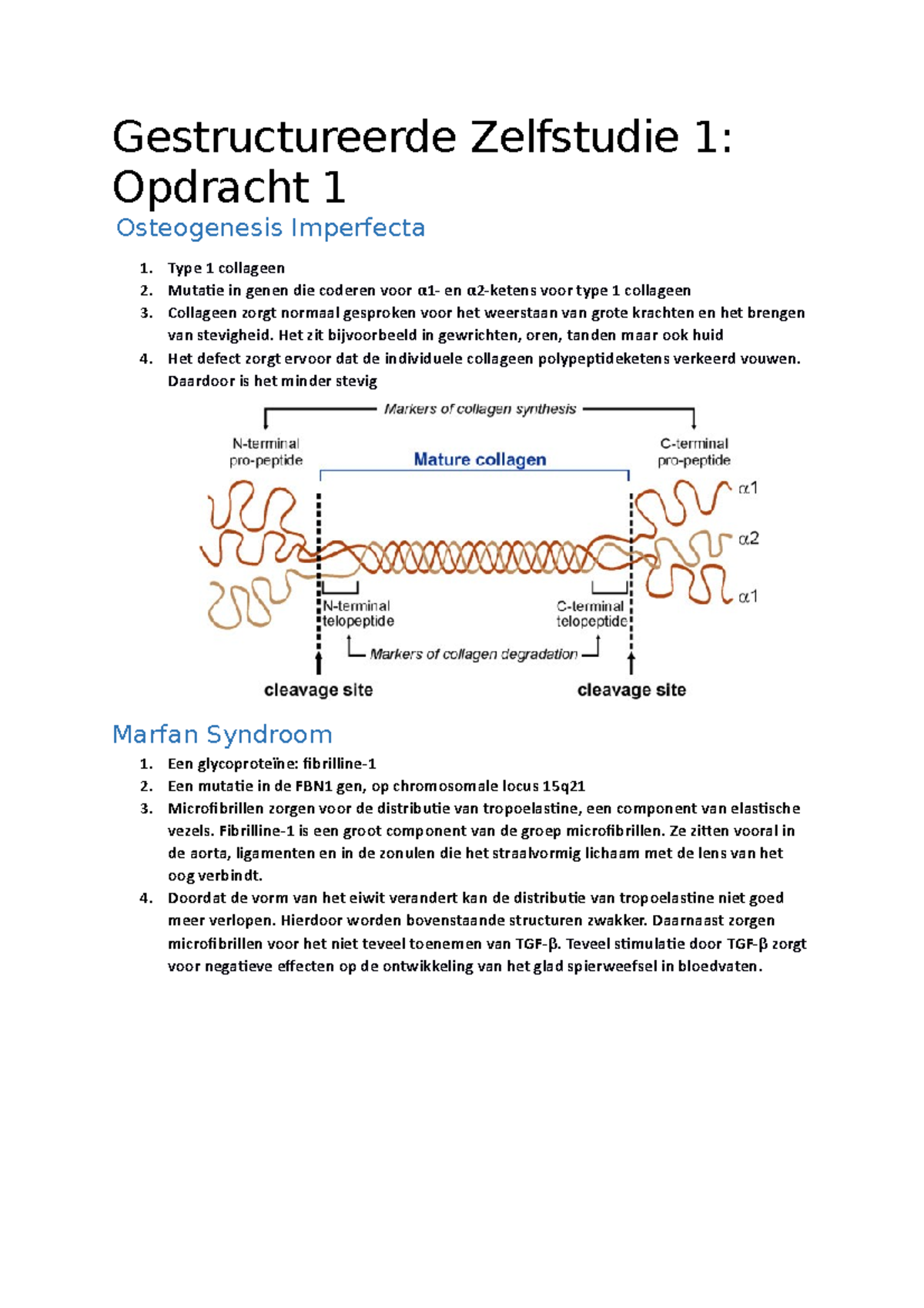 Gestructureerde Zelfstudie 1 - Het zit bijvoorbeeld in gewrichten, oren ...