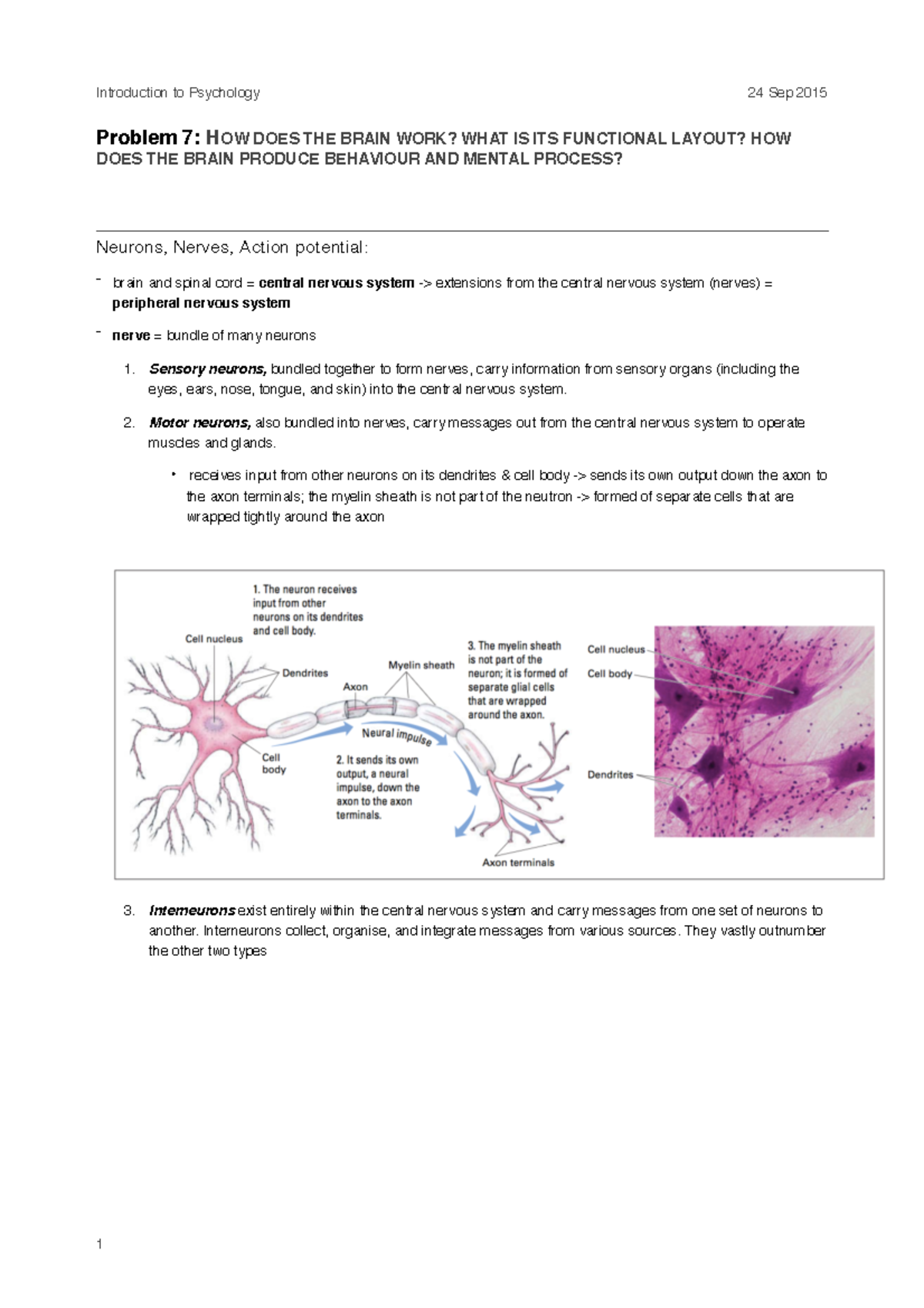 Problem 7 - Brain - Task notes and summary for the 7th task. - Problem ...