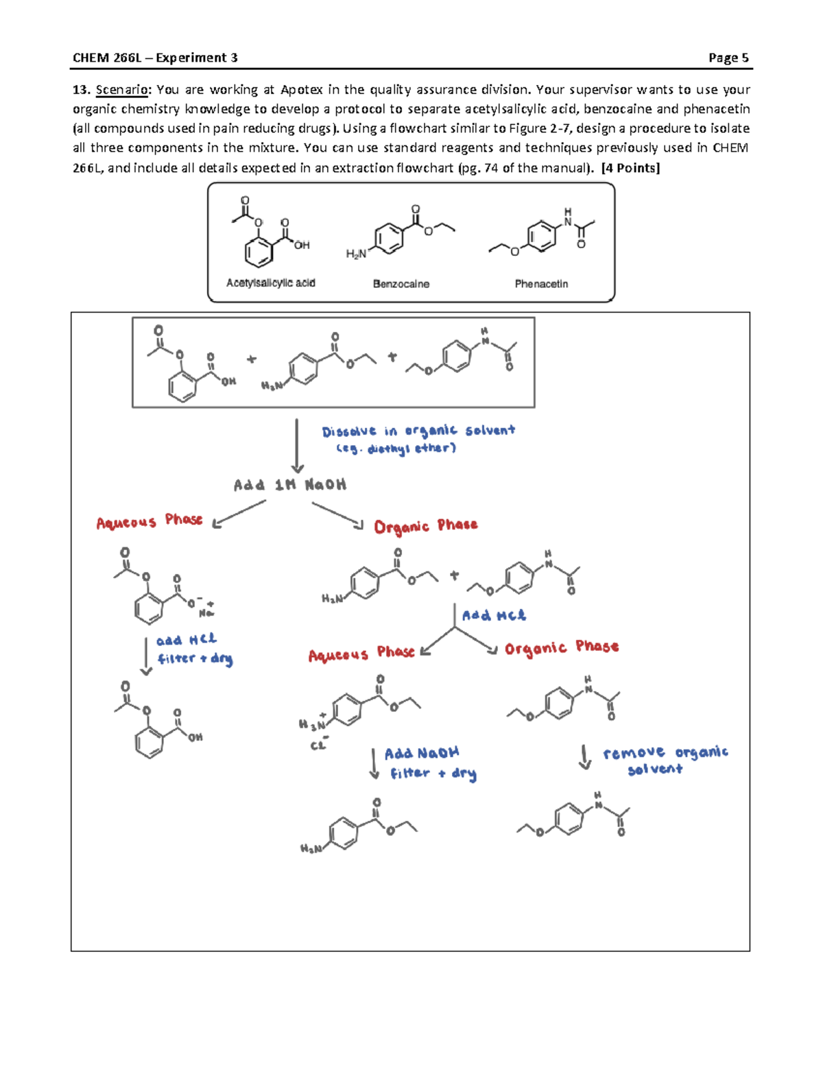 CHEM 266 L Exp 3 Page 5 Template - CHEM 26 6 L – Experiment 3 Page 5 13 ...