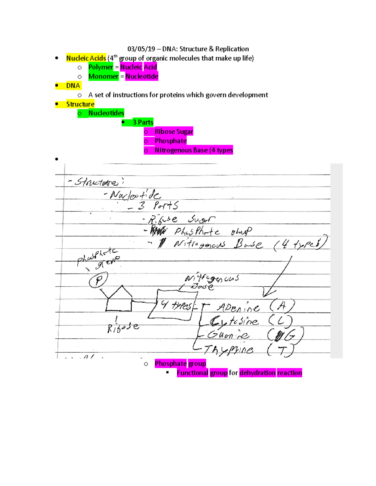 DNA - Structure & Replication - 03/05/19 – DNA: Structure & Replication ...