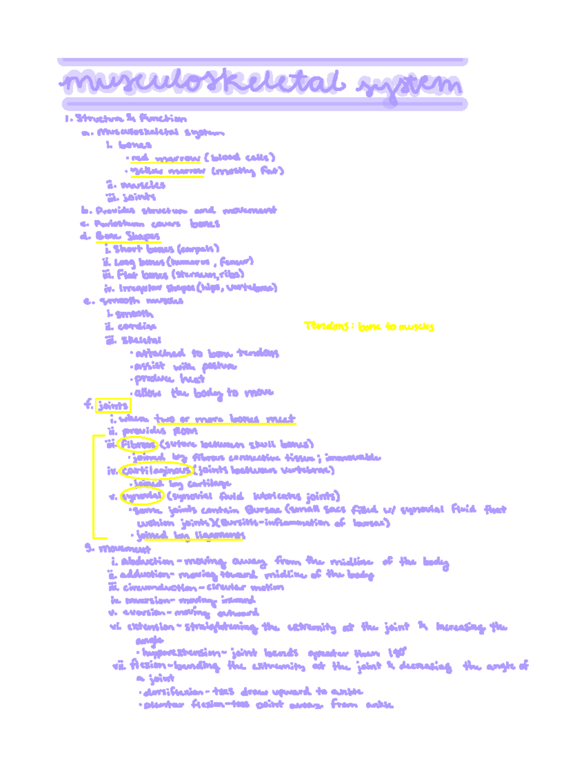 Musculoskeletal System - musculoskeletal system i Structure Function a ...
