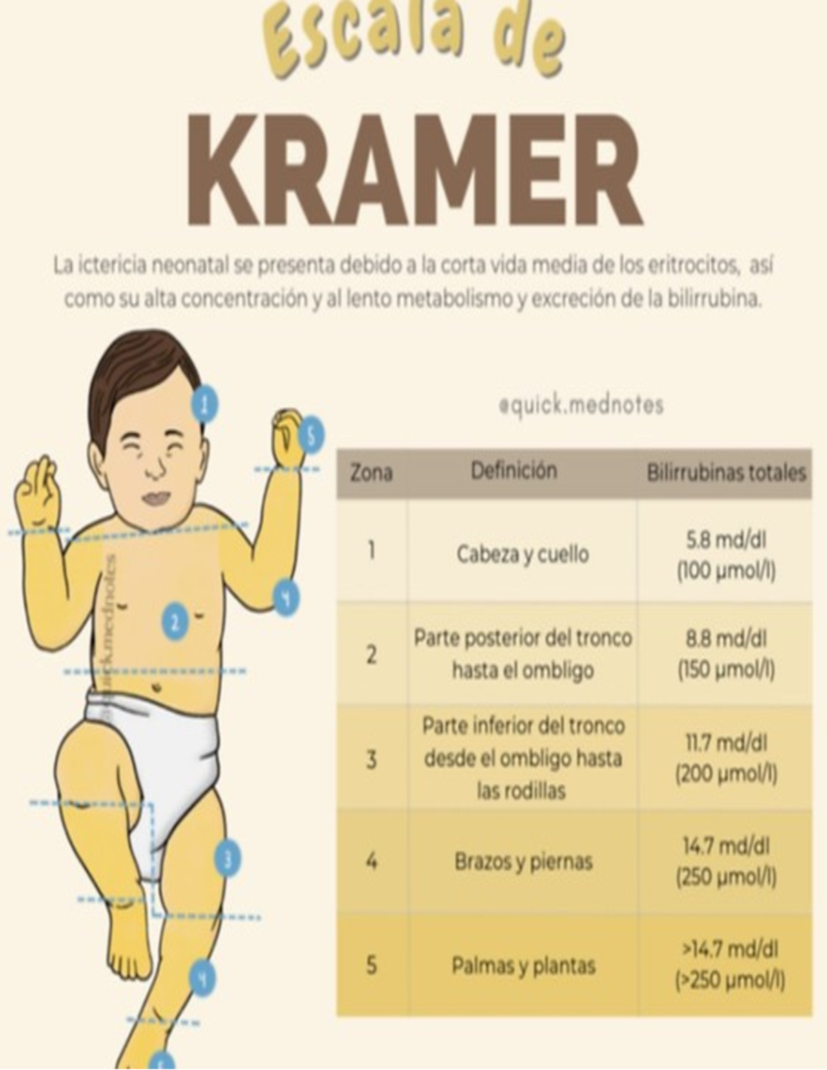 Escala DE Kramer - Enfermeria Materno Infantil - Studocu