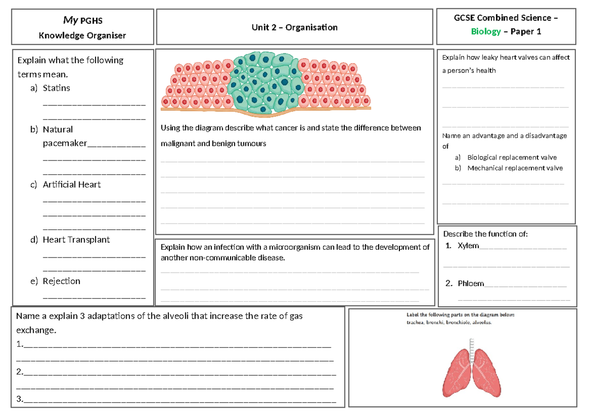 Unit 2 - Organisation Combined page 3 - My PGHS Knowledge Organiser ...