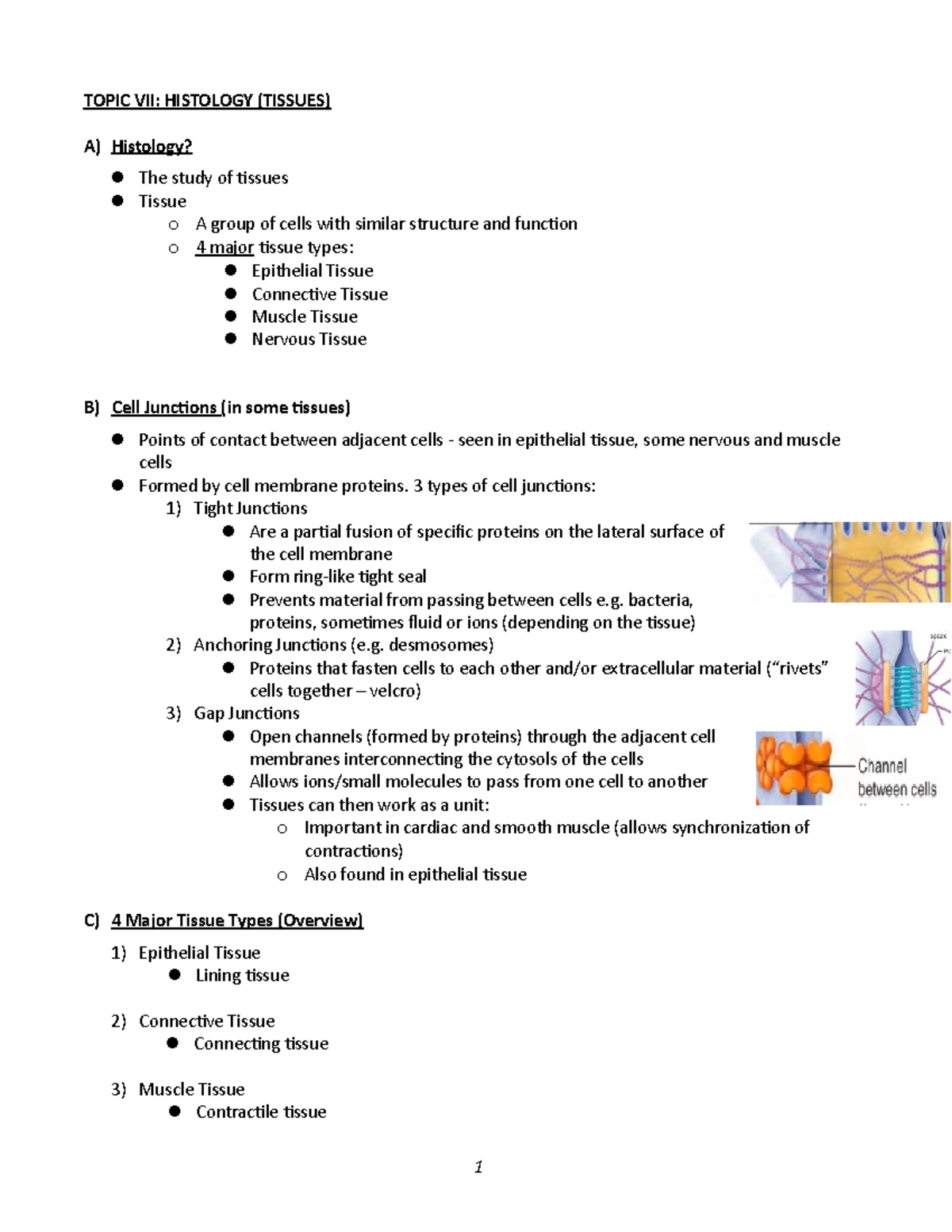 7 - Topic VII - Histology ( Tissues) - TOPIC VII: HISTOLOGY (TISSUES) A ...