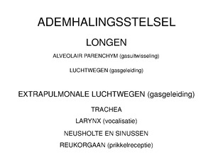 Histologie thema 4 epitheel - I. INLEIDING: KENMERKEN, OORSPRONG EN ...