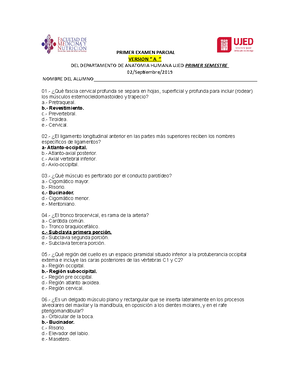 Mano Anatomía - estructura de la mano - Mano: Anatomía La mano ...