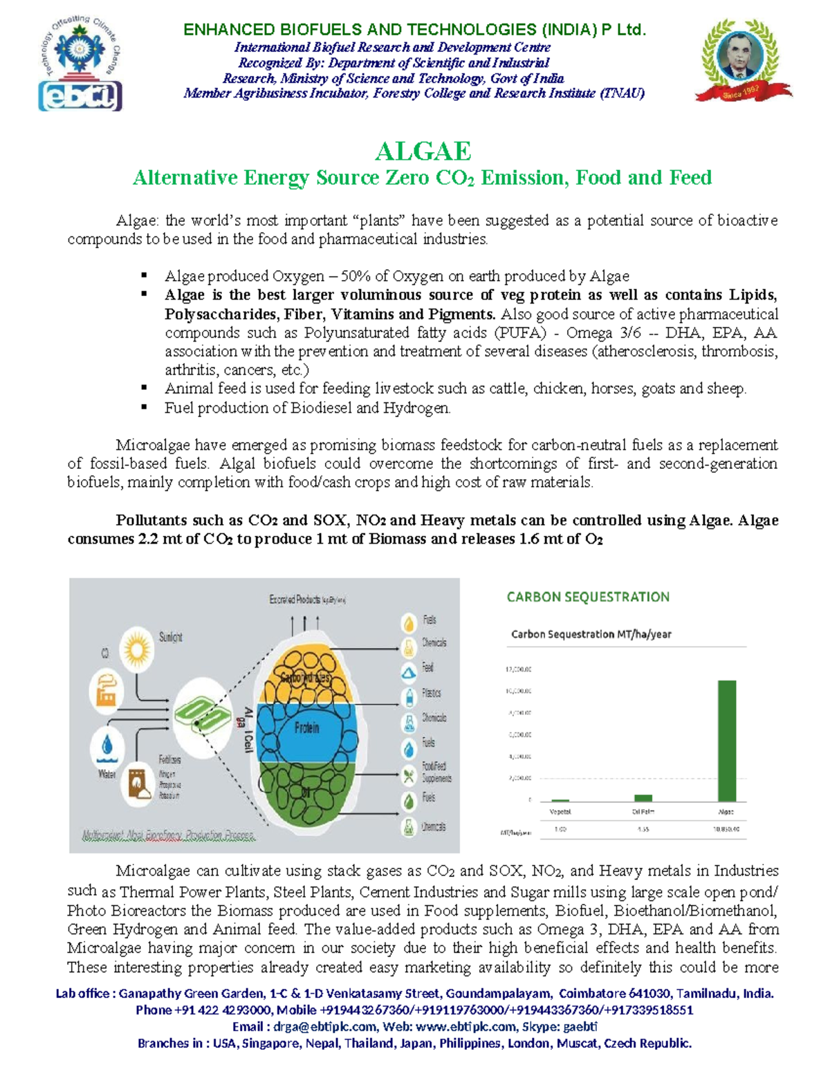 Algae Summary - Alternative Energy Source Zero CO2 Emission, Food and ...