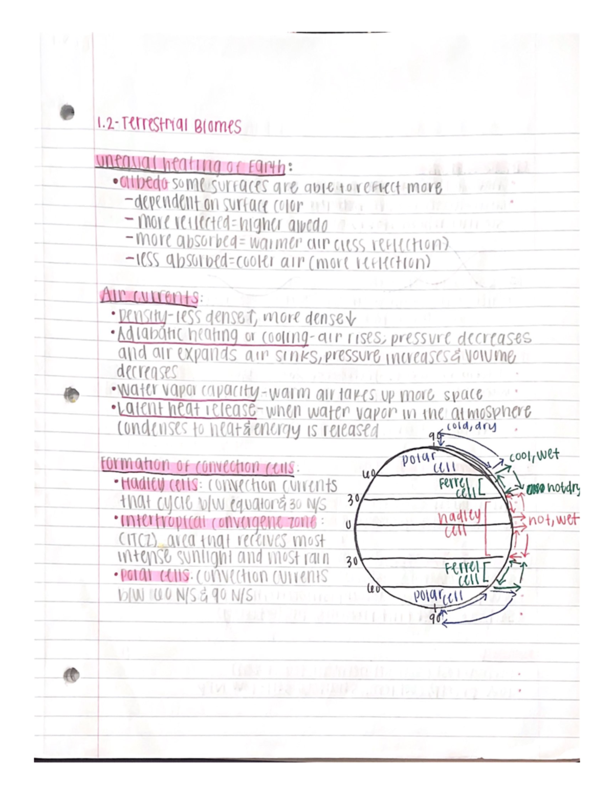 Terrestrial biomes - Daniel Thornton - GEOS 105 - Studocu