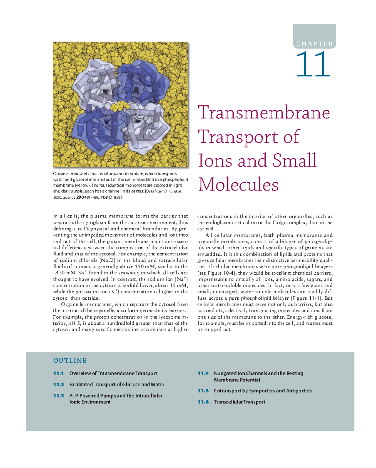 01 Lodish 8THCH11 - Transmembrane Transport of Ions Small Molecules ...