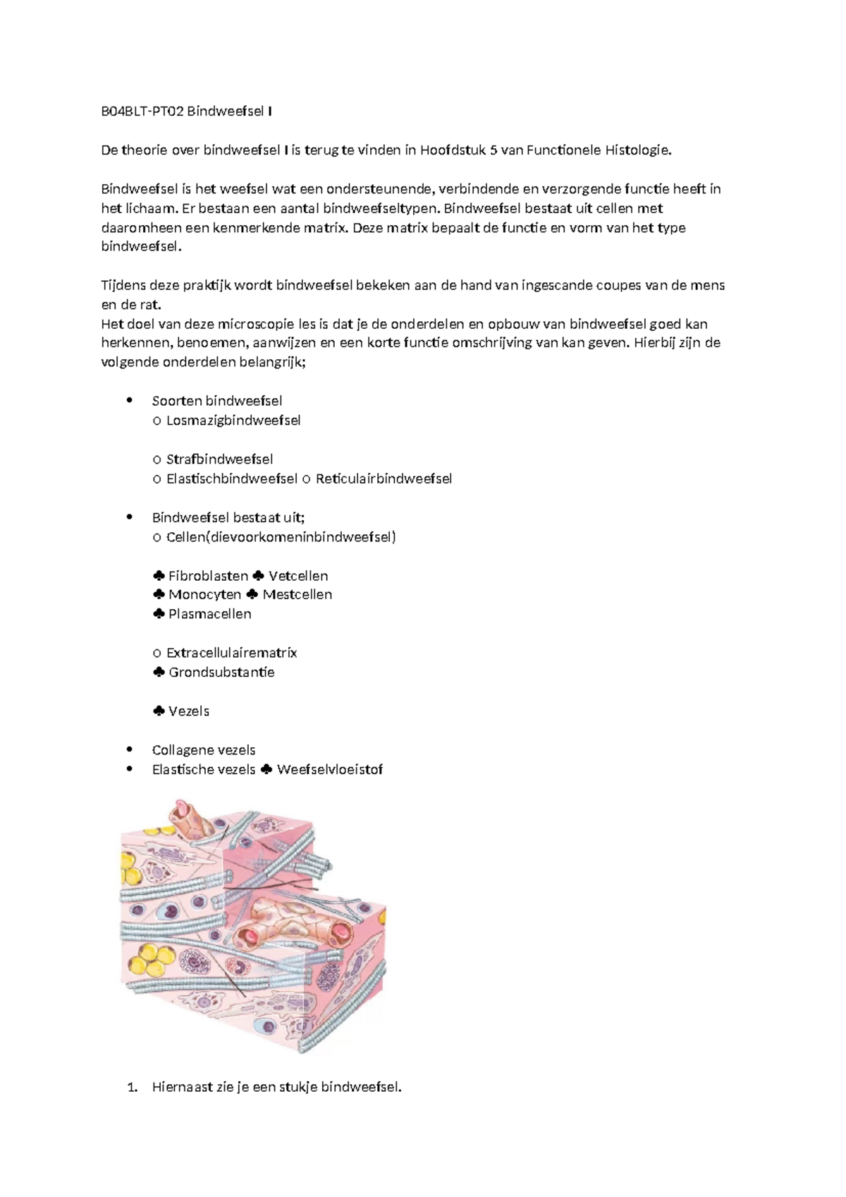 B04BLT - B04BLT-PT02 Bindweefsel I De theorie over bindweefsel I is ...