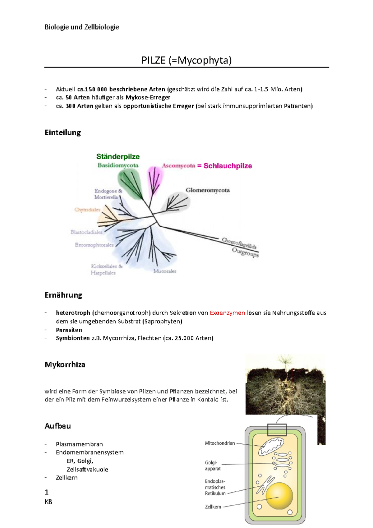 5. Pilze - eigene Zusammenfassung - PILZE (=Mycophyta) Aktuell ca 000 ...