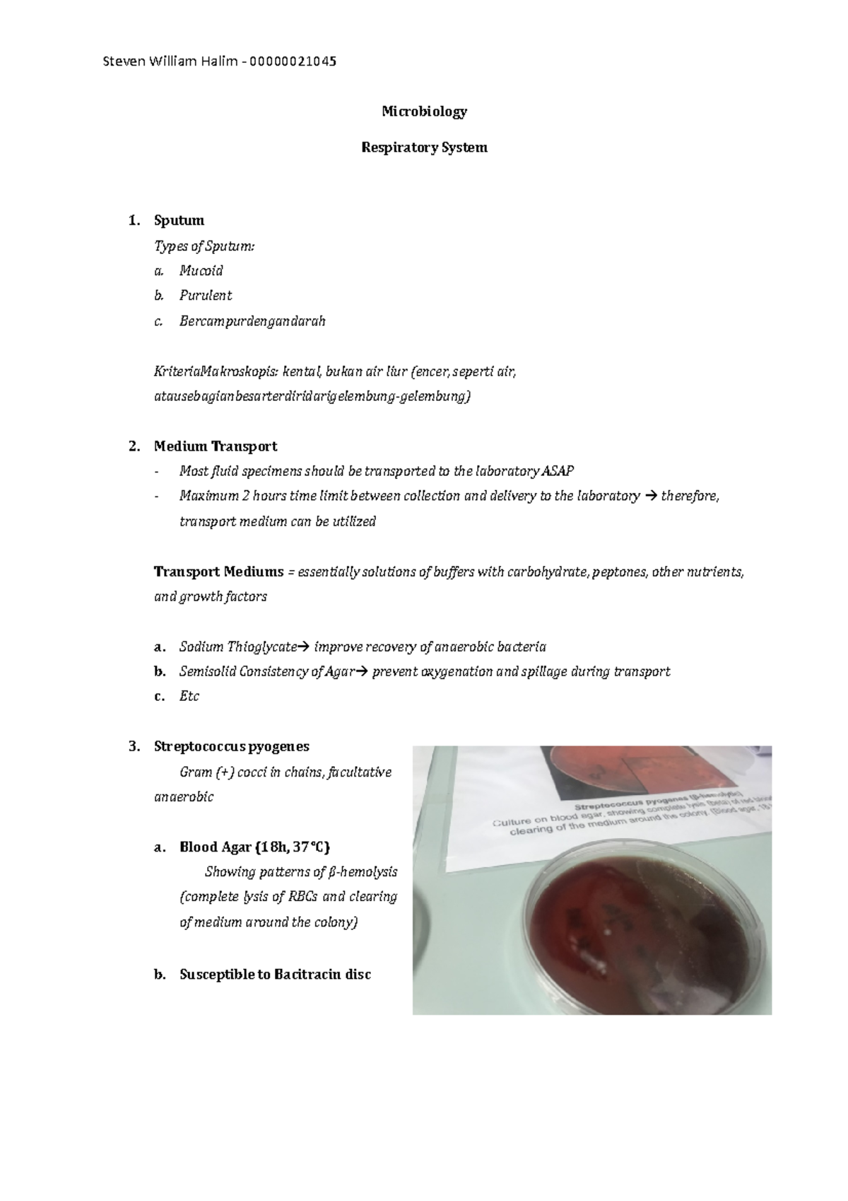 123284 Respi - Microbiology - Microbiology Respiratory System 1. Sputum ...