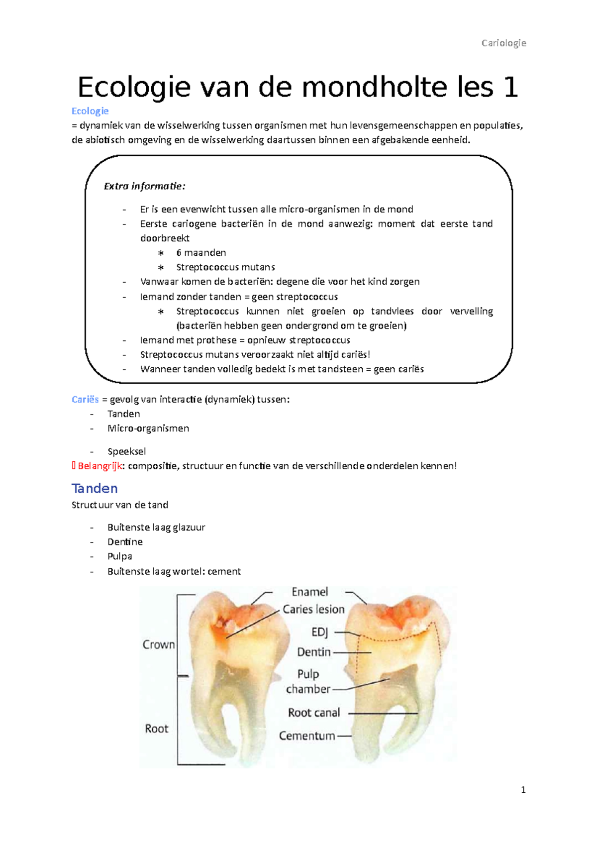 Ecologie Van De Mondholte - Ecologie van de mondholte les 1 Ecologie ...