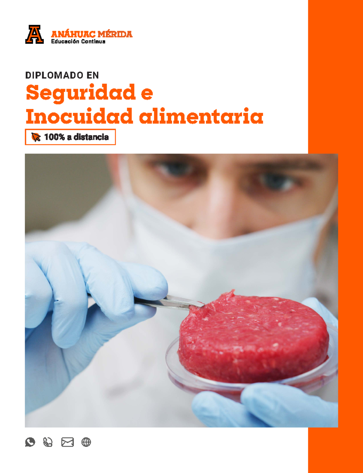 Brochure-Seguridad e Inocuidad alimentaria - Seguridad e Inocuidad alimentaria ####### DIPLOMADO ...