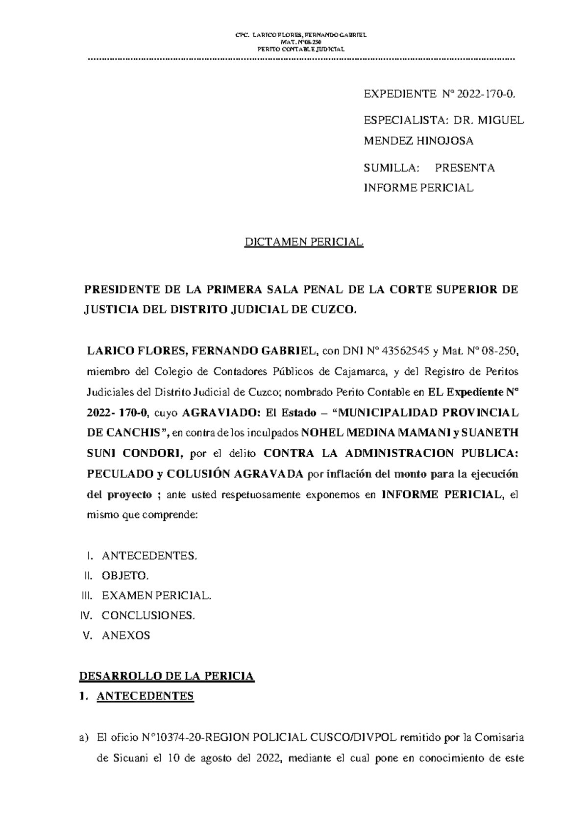 Informe Pericial Contable Studocu
