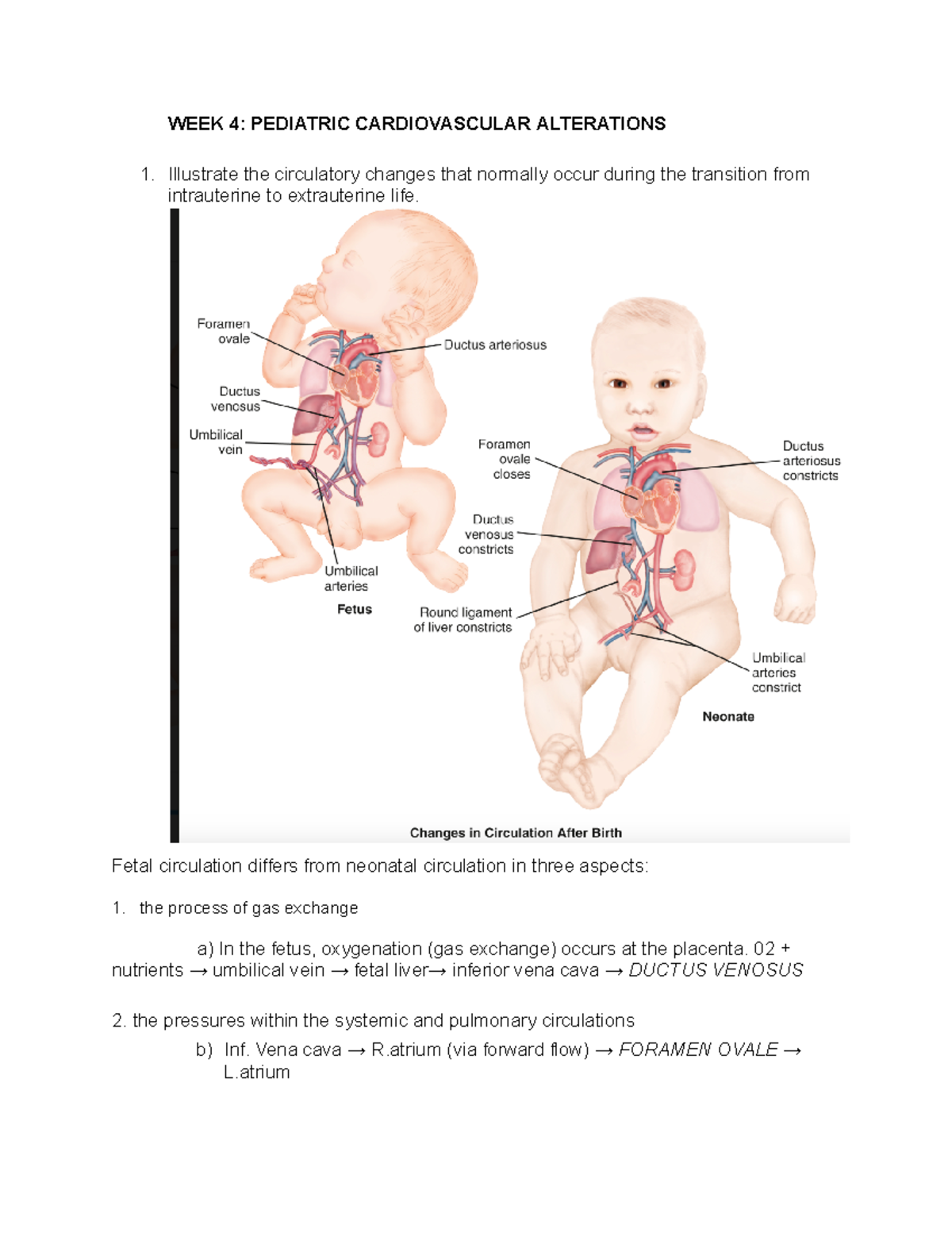 WEEK 4- objectives 1 &2, Peds Cardio - WEEK 4: PEDIATRIC CARDIOVASCULAR ALTERATIONS 1 ...