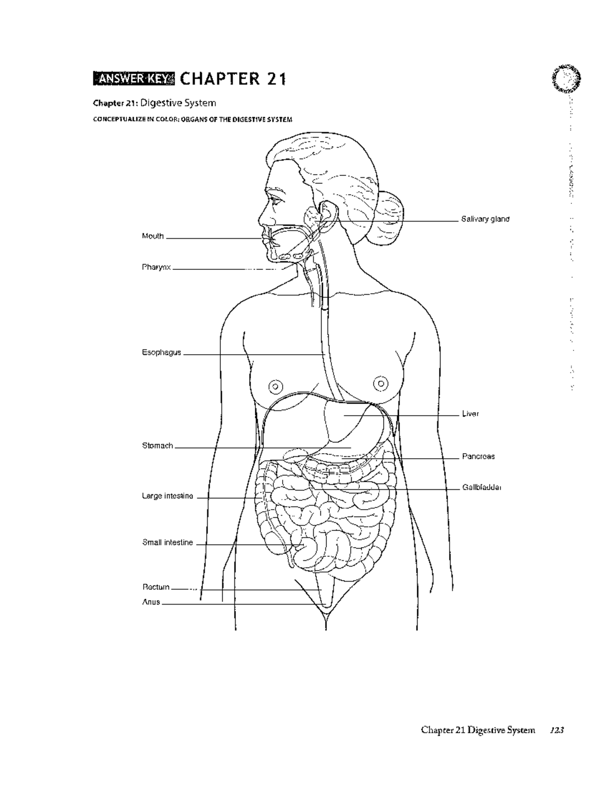 AP Chapter 21 Workbook answers - ADC 423 - Studocu