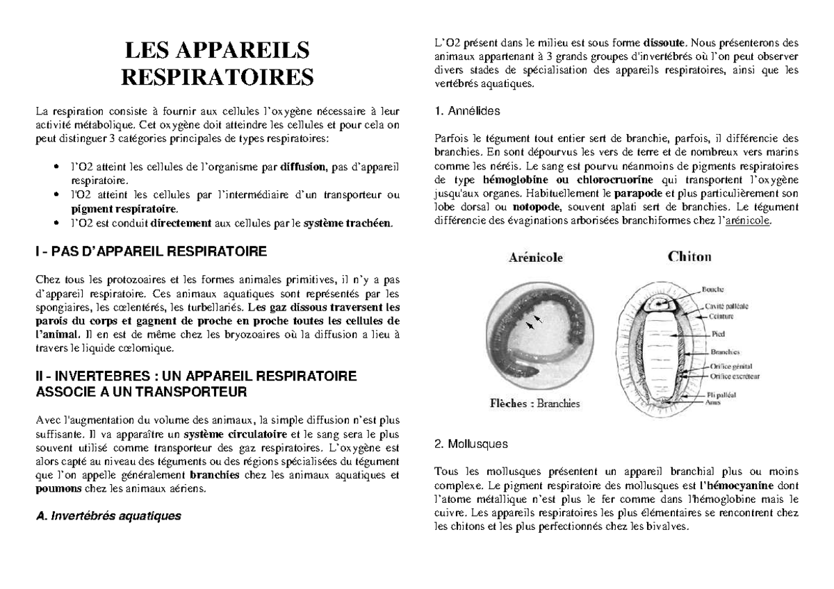 Polycop TP n°4 - Biologie animale - LES APPAREILS RESPIRATOIRES La ...