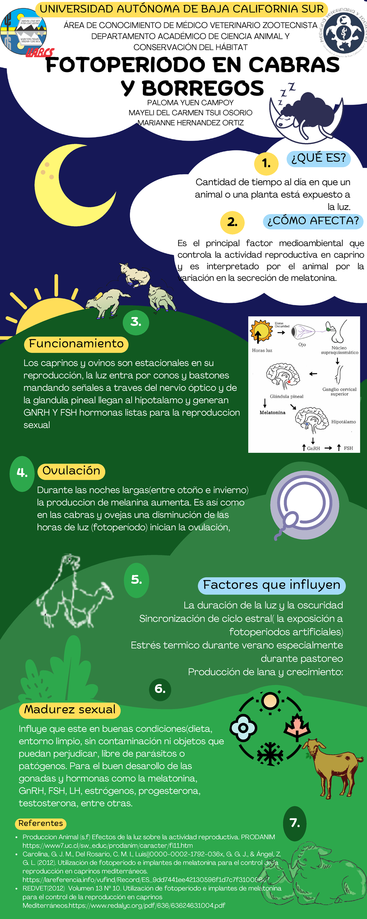 Infografia Fotoperiodo en cabras y borregos - Madurez sexual Influye ...