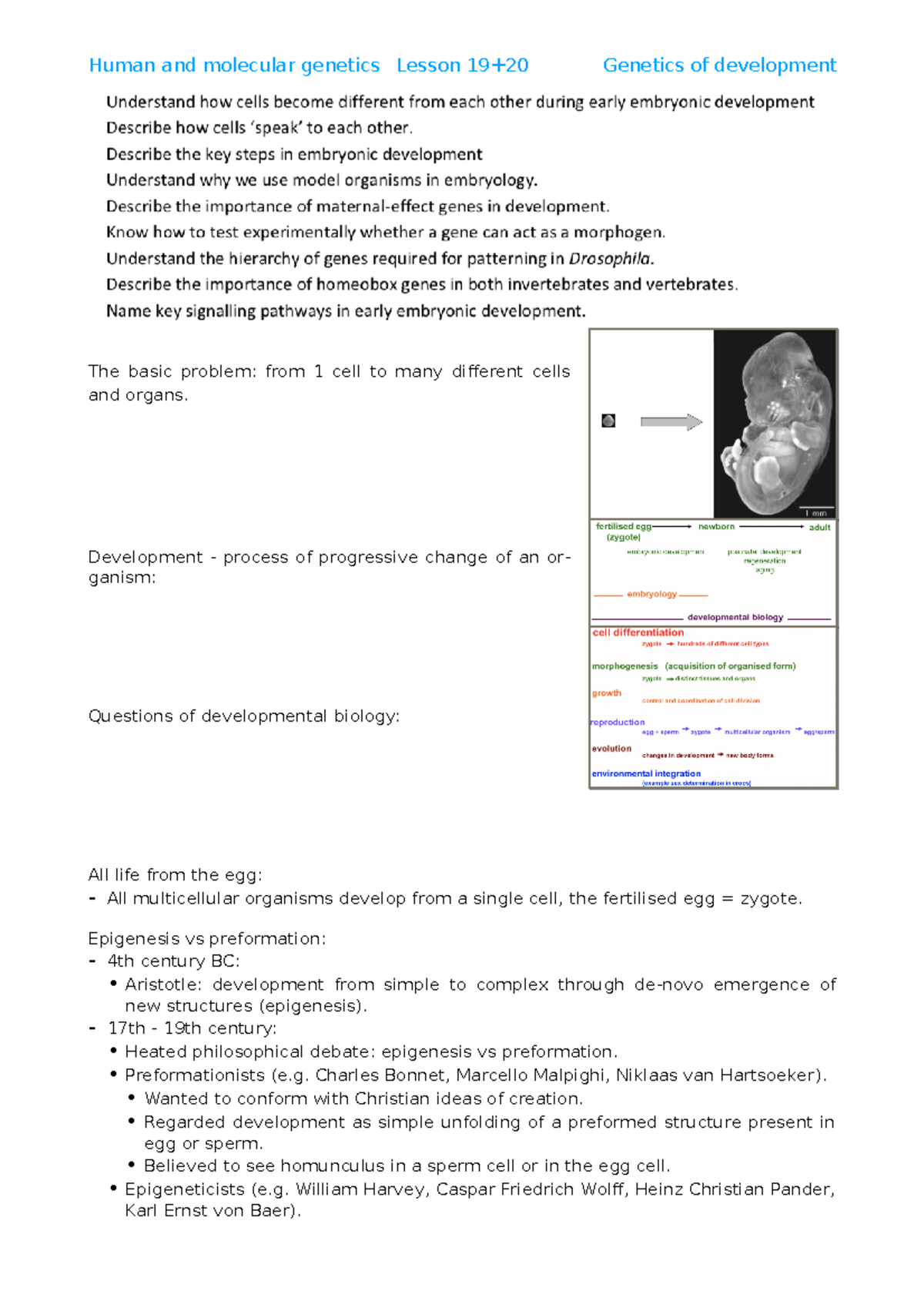 19+20) Genetics of development - Human and molecular genetics Lesson 19 ...