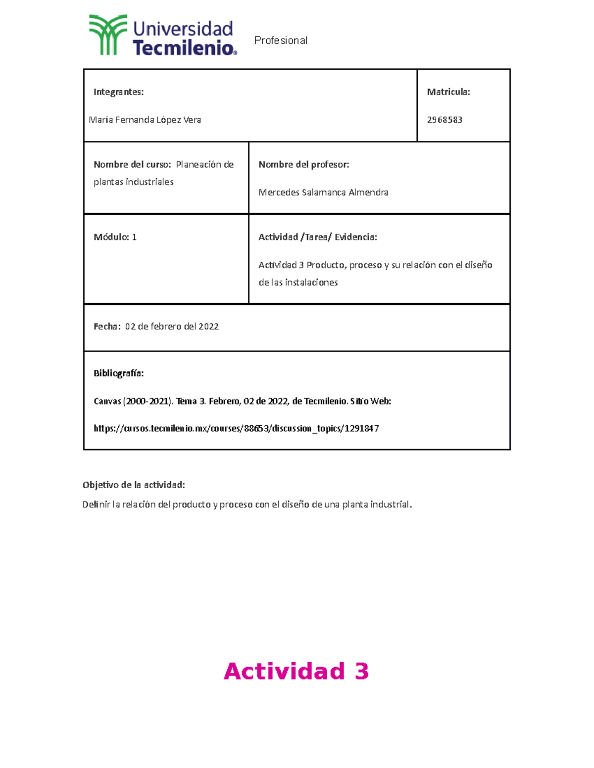 Actividad 3 PPI - nbv gnfc hg - Integrantes: María Fernanda López Vera ...